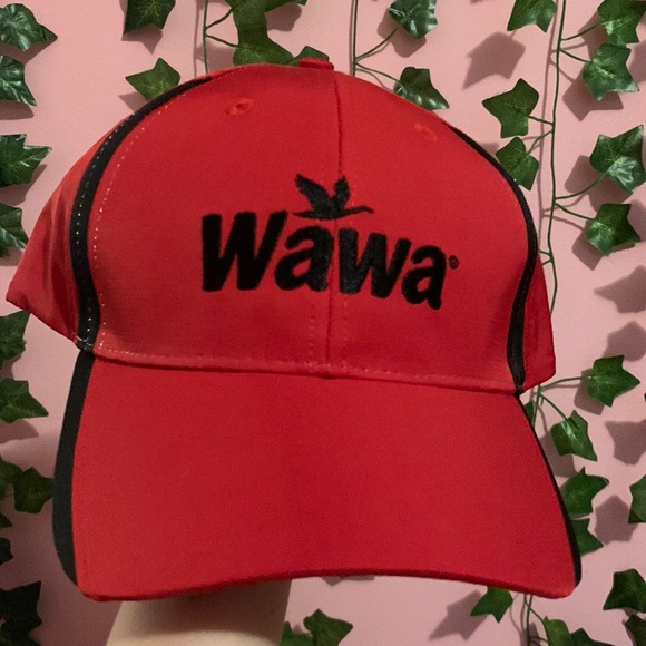 Wawa | Accessories | Wawa Baseball Cap | Poshmark